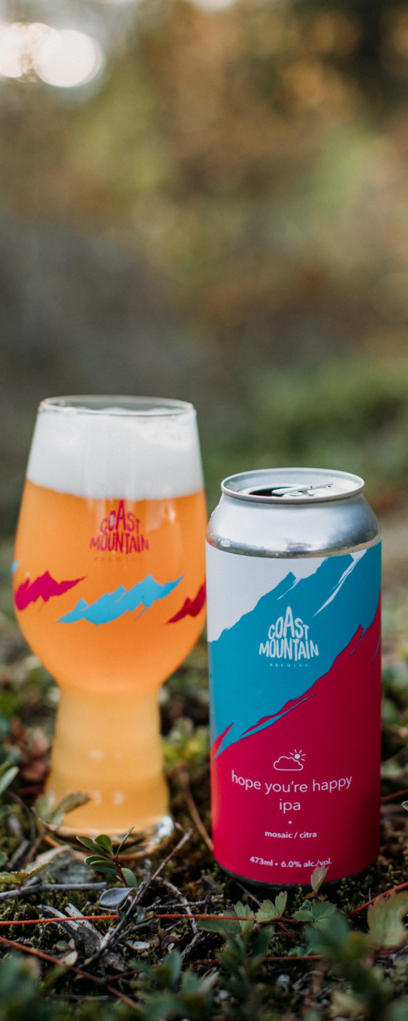 Coast Mountain Boutique Beers - Coast Mountain Brewing